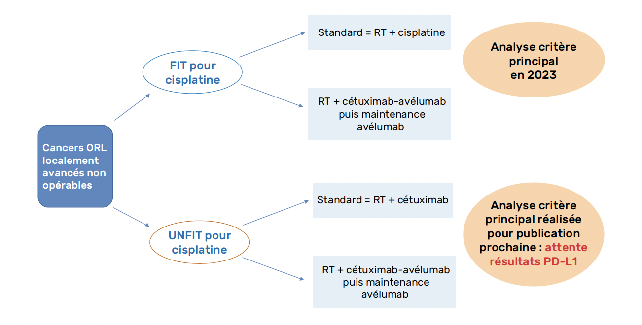 Les essais cliniques du Gortec - Quelles actualités ? - Onko+