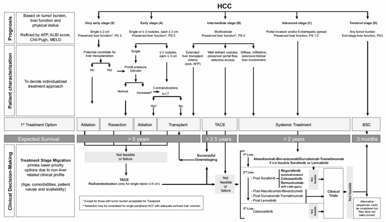 Le carcinome hépatocellulaire - Onko+